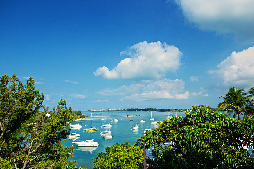 Emily & Will - Howarth Photography Ltd.